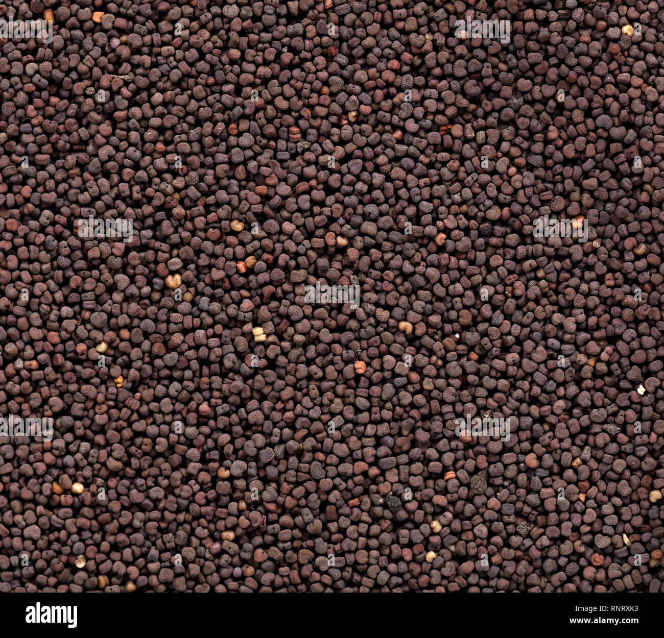 High quilty hi-res stock photography and images - Alamy