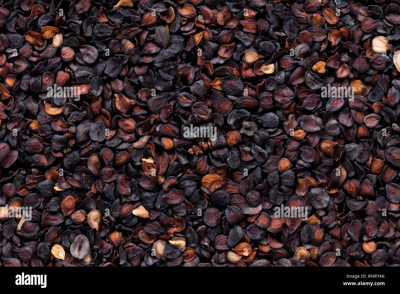 High quality seeds of dianthus alpinus, flower in a texture form for ...