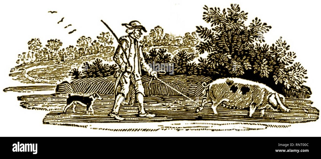 Cavage hi-res stock photography and images - Alamy