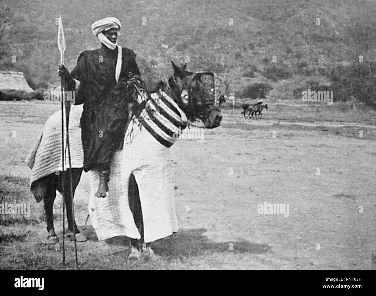 Cavalier arabe du Dékakiré sur un cheval caparaçonné Stock Photo - Alamy