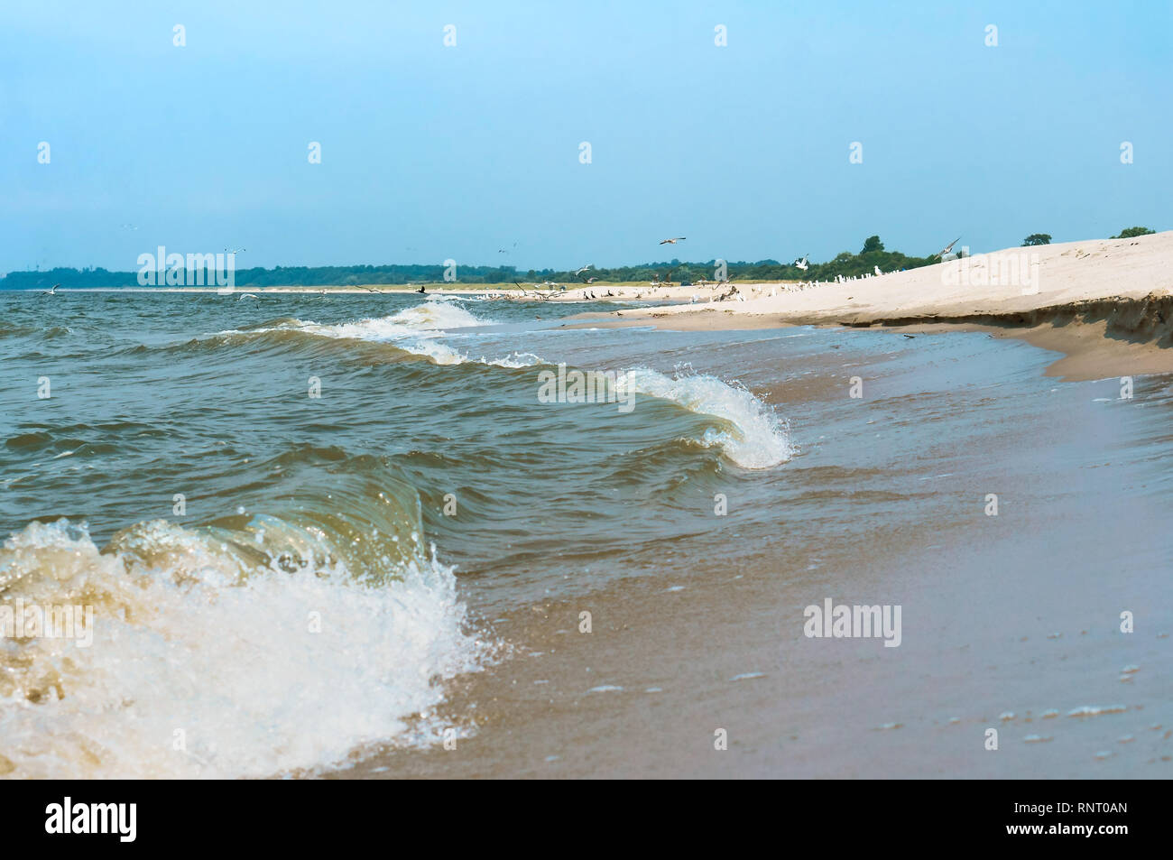 Deep sea motion hi-res stock photography and images - Alamy