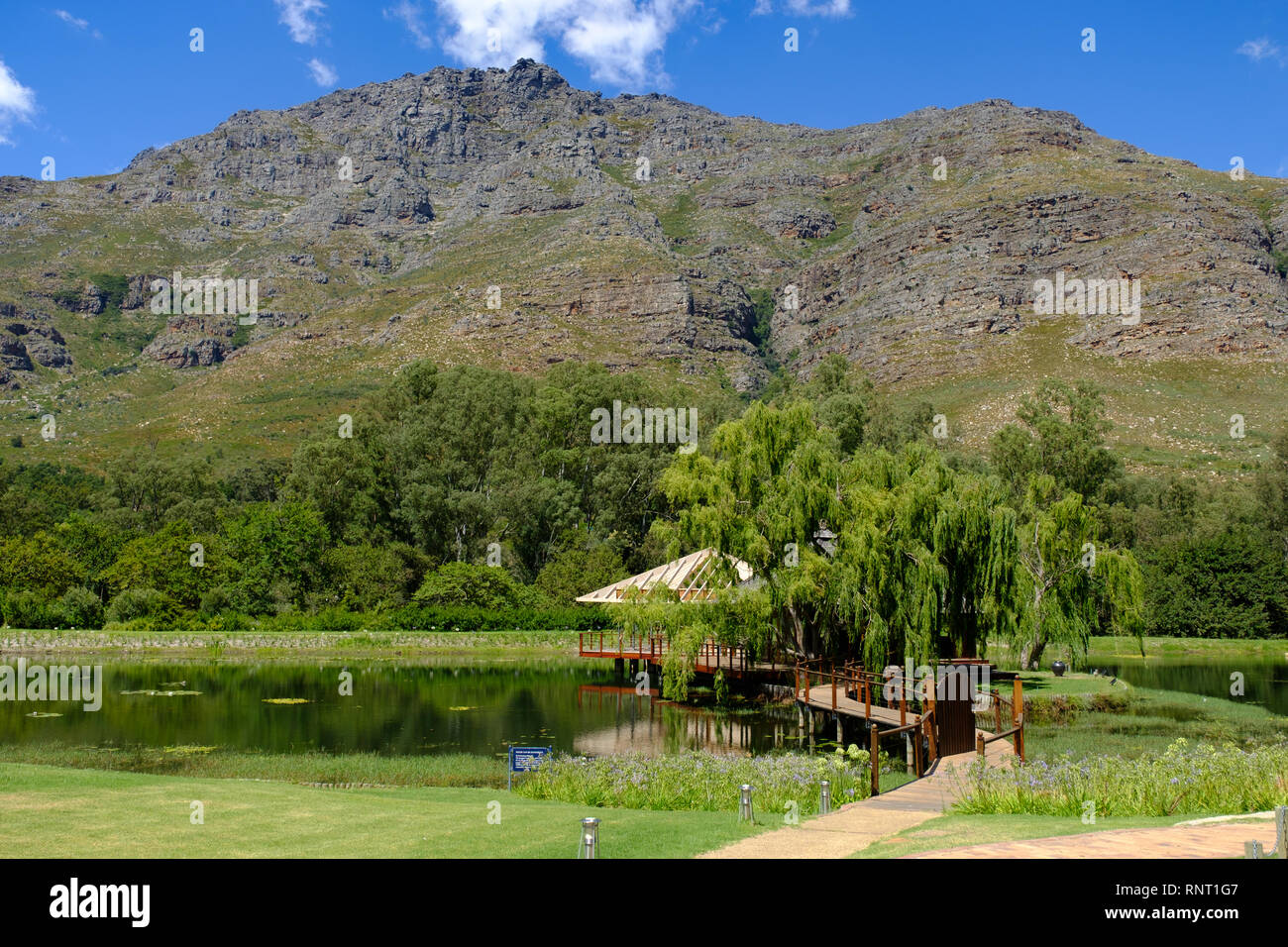 Landscaped gardens around Stark-Conde Wines, Stellenbosch, South Africa ...