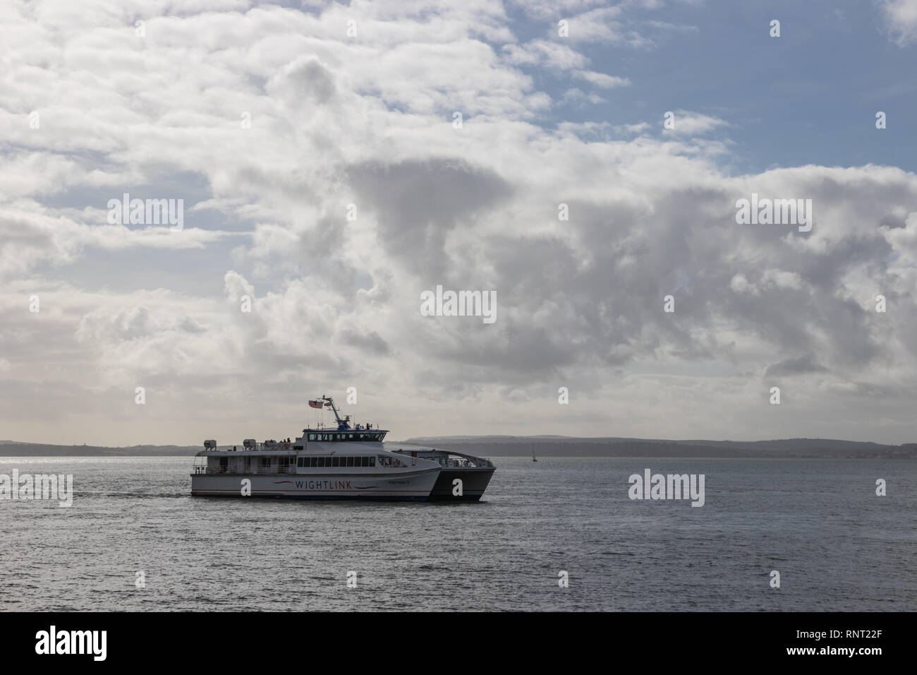 Whightlink cat hi-res stock photography and images - Alamy