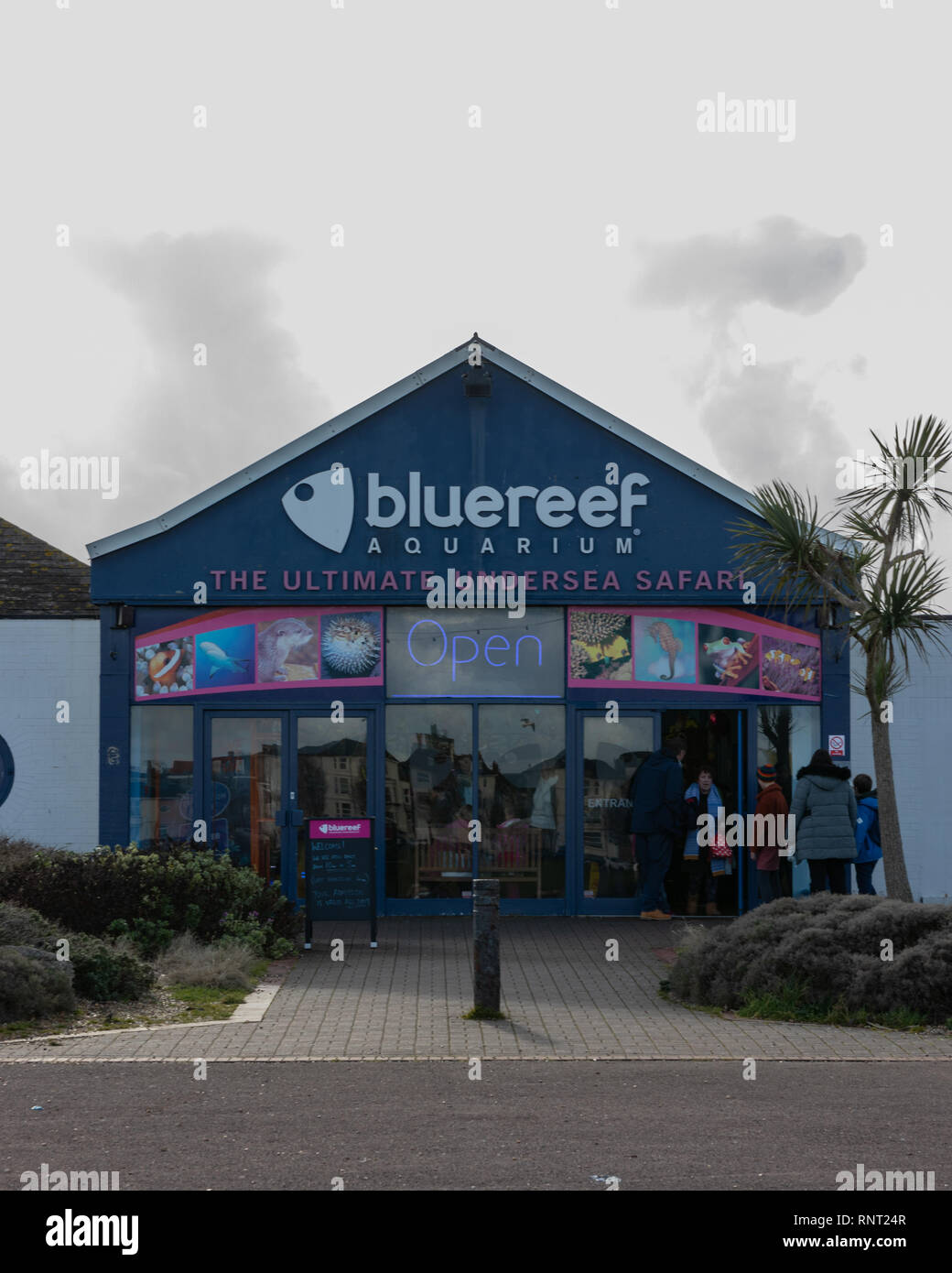 Reef aquarium hi-res stock photography and images - Alamy