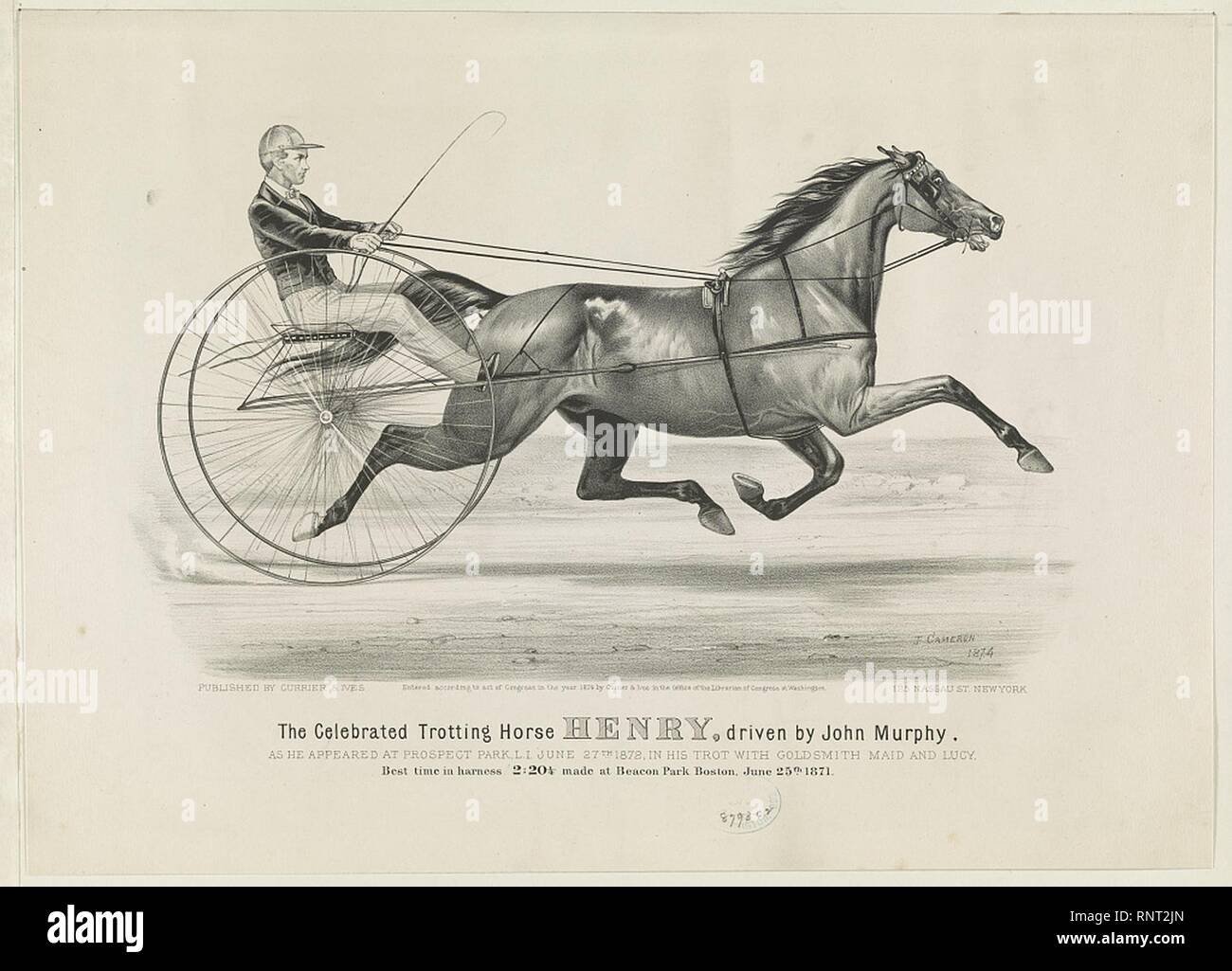 Celebrated trotting horse Henry, driven by John Murphy- As he appeared ...
