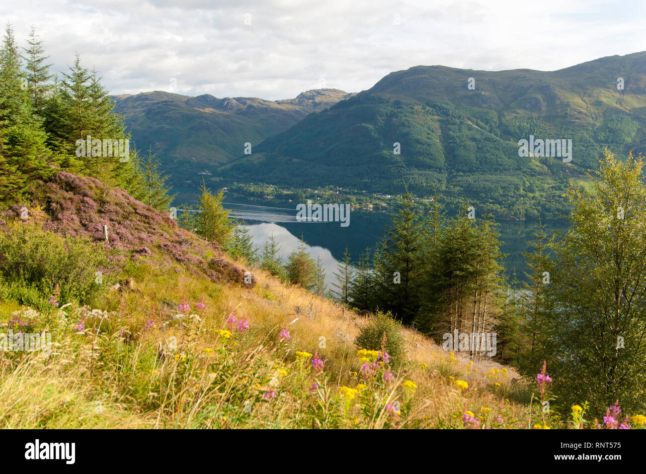 Ratagan hi-res stock photography and images - Alamy