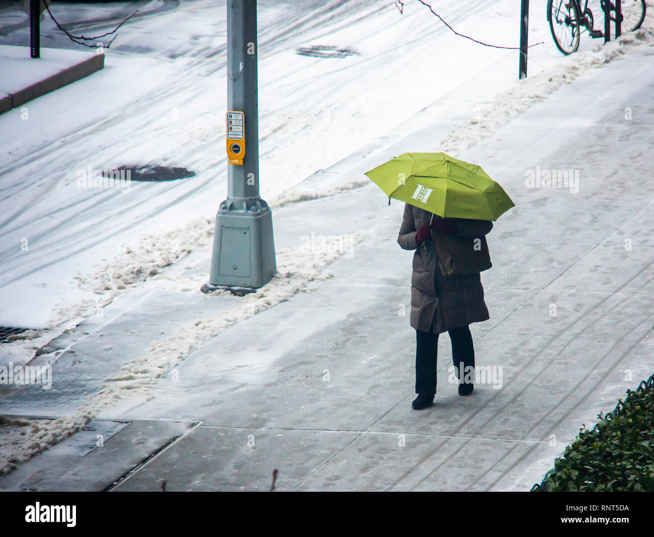 Richard snow hi-res stock photography and images - Alamy