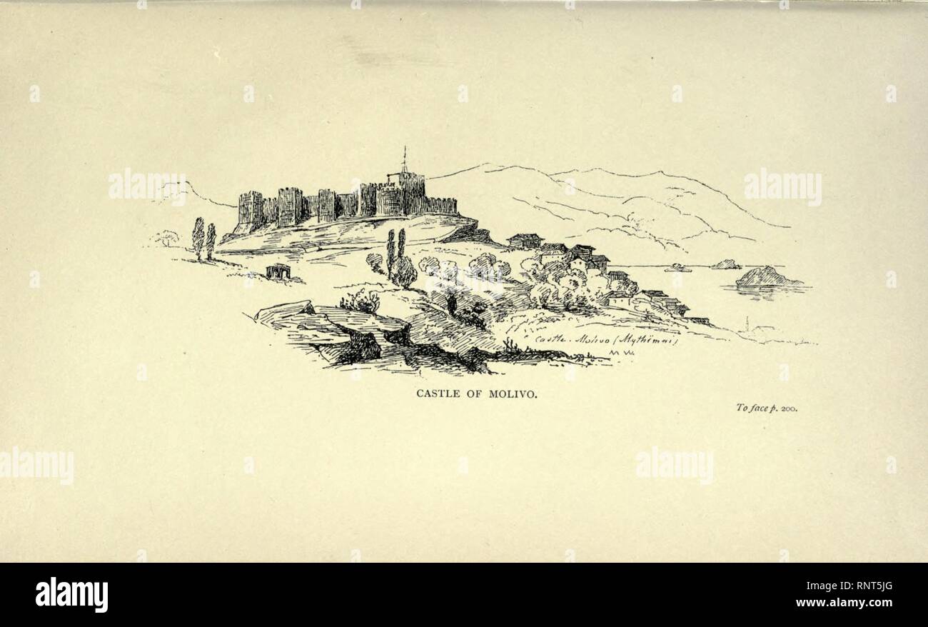 Molivo hi-res stock photography and images - Alamy