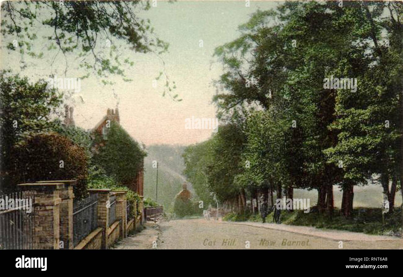 Cat Hill c. 1900 Stock Photo - Alamy