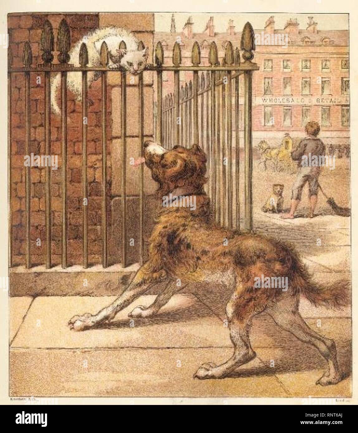 Cat Meets Dog Drawing Stock Photo - Alamy