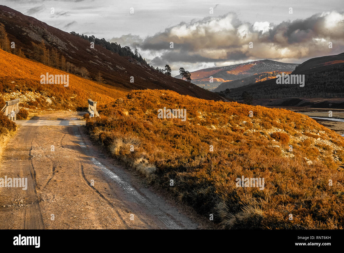 Mar Lodge Estate is a highland estate in western Aberdeenshire ...