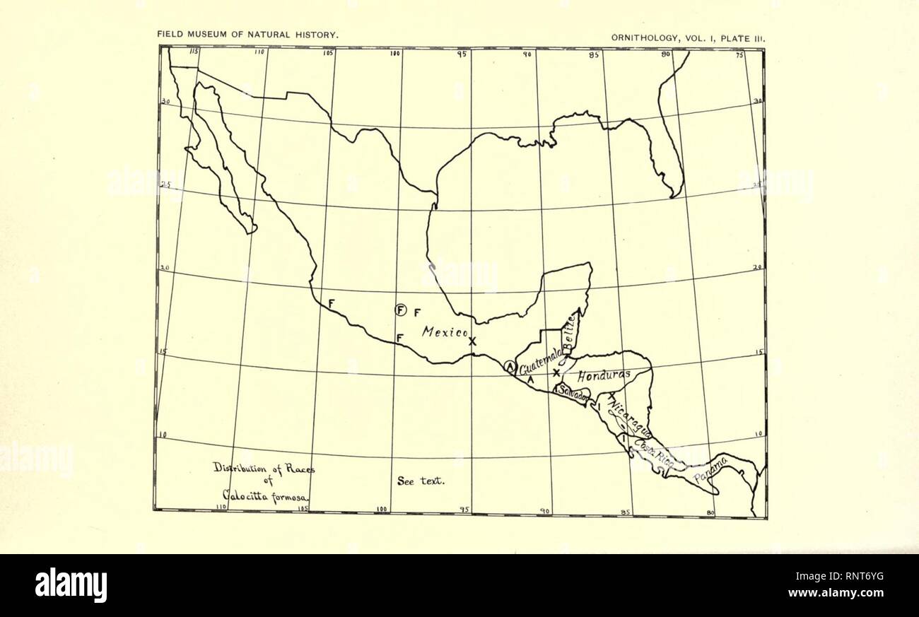 Catalogue of a collection of birds from Guatemala (Plate III Stock ...