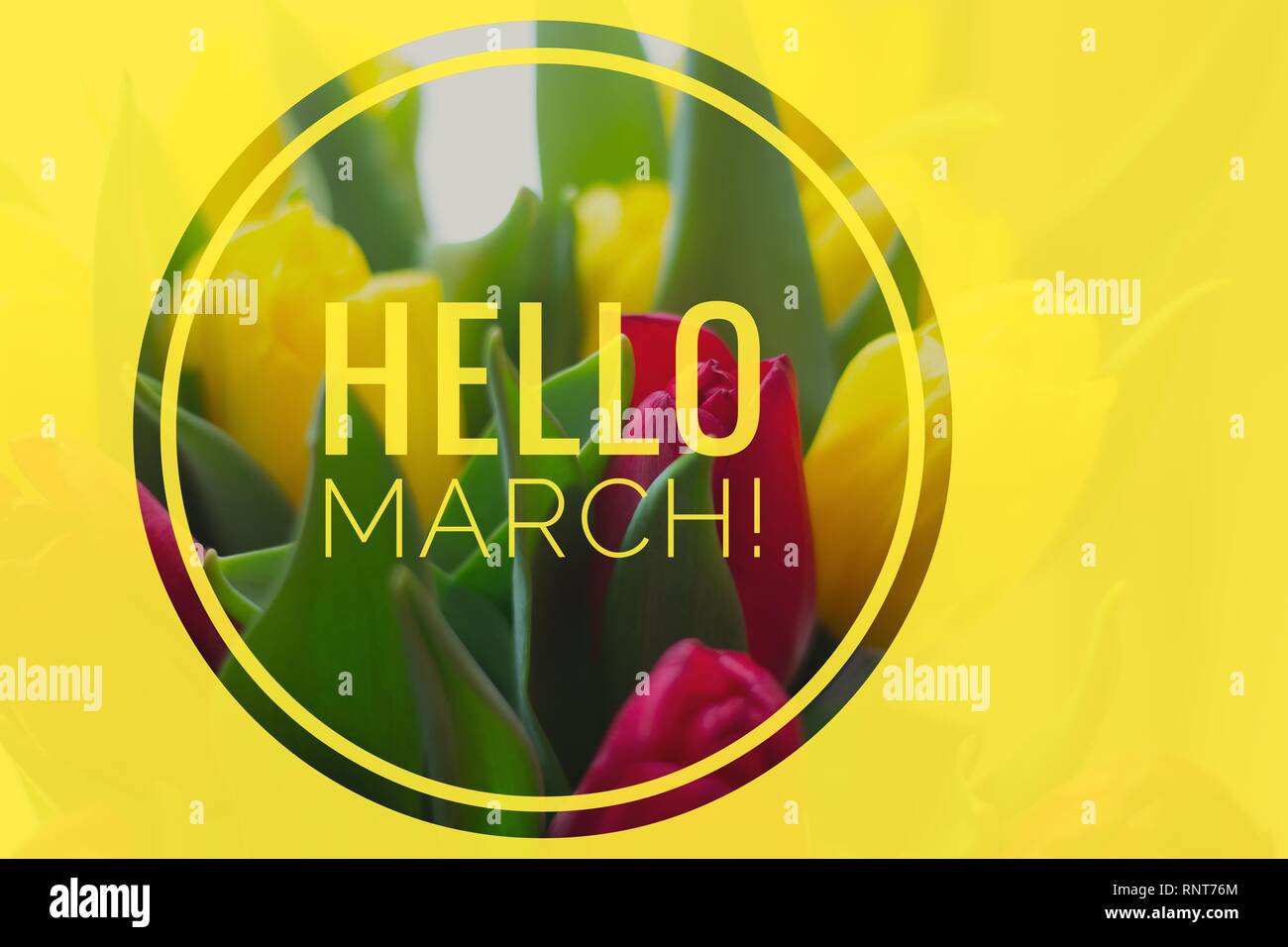 greeting card hello march Welcome card the beginning of spring ...