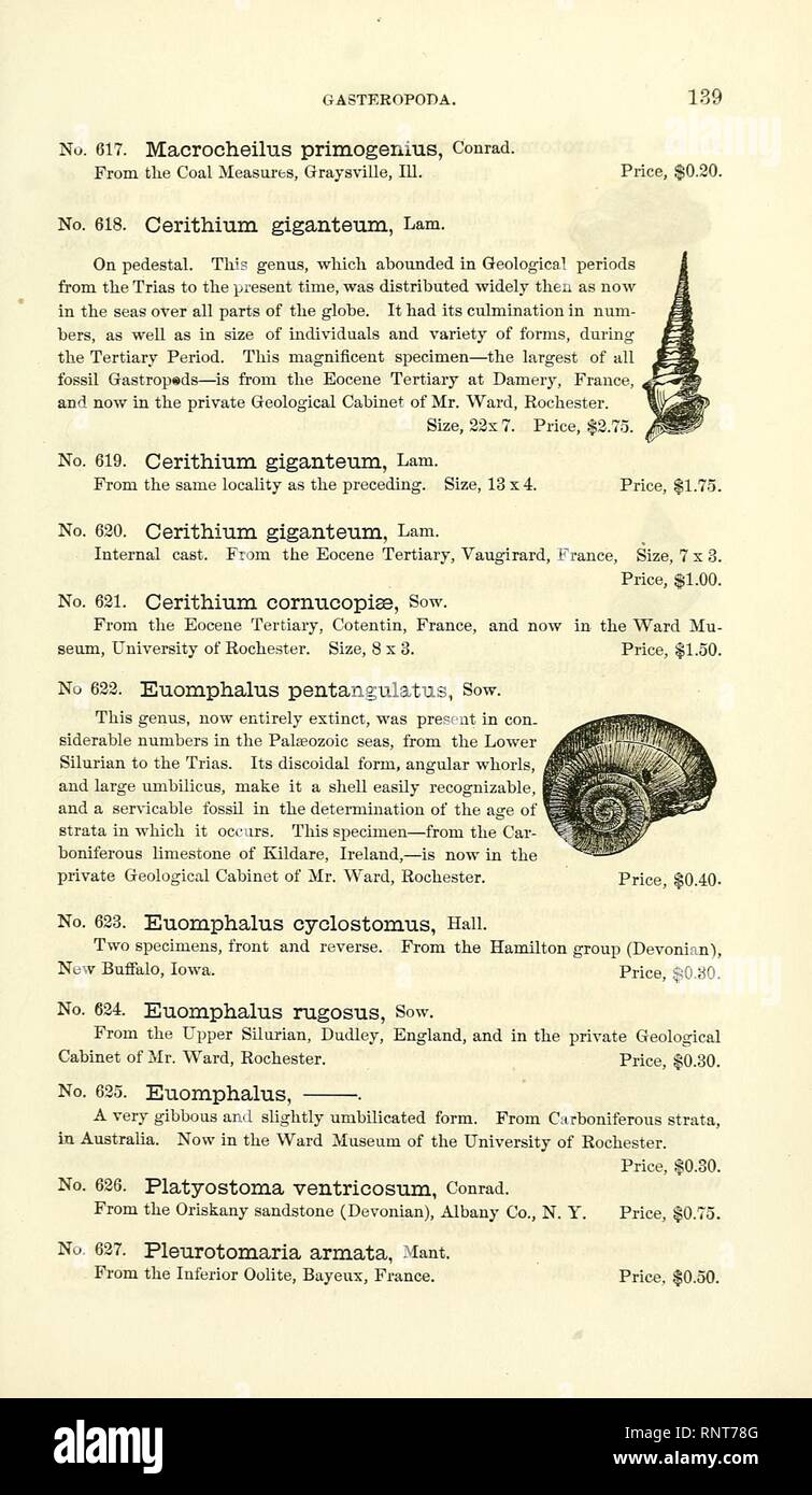 Catalogue of casts of fossils Stock Photo - Alamy