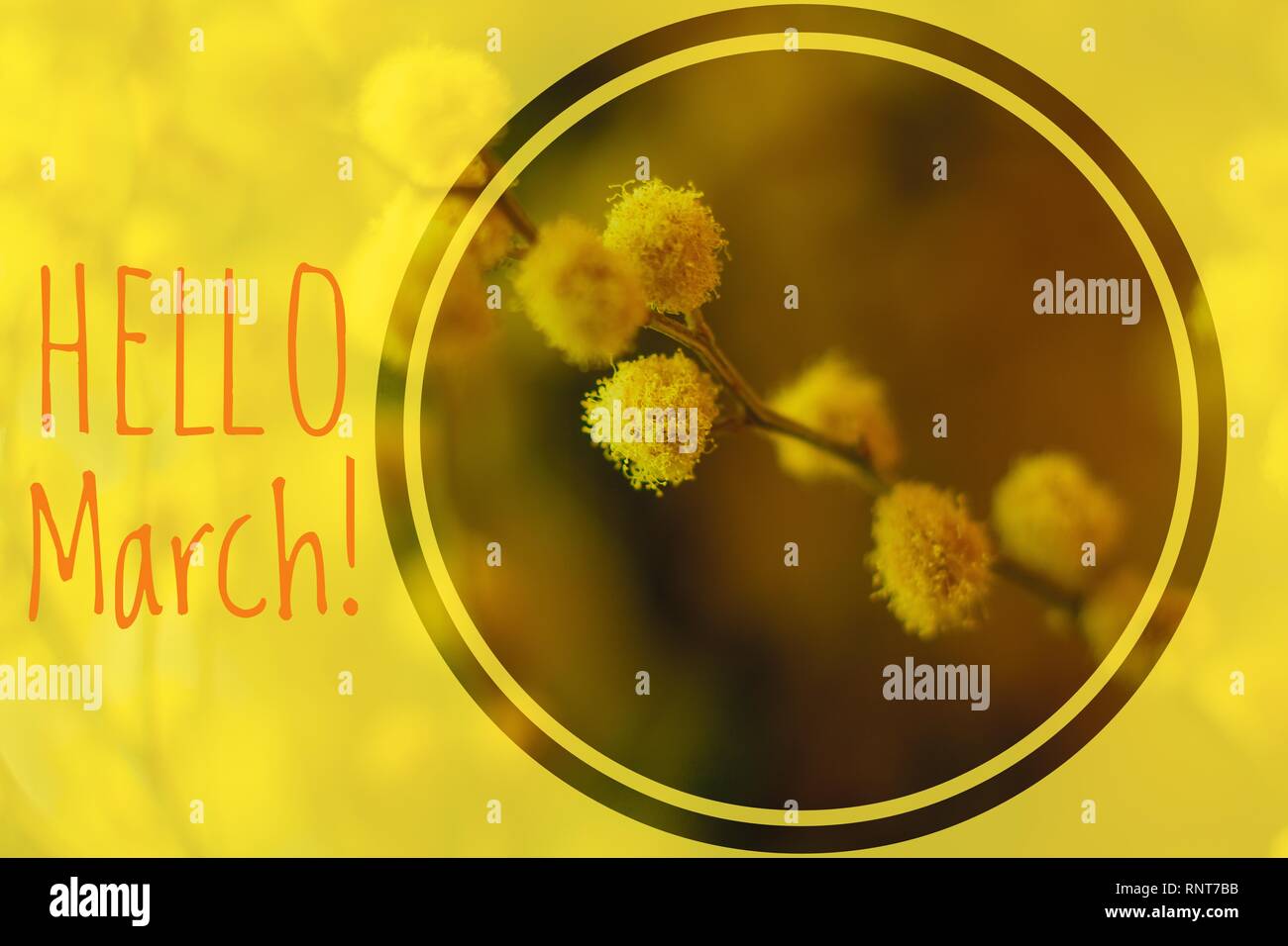greeting card hello march Welcome card the beginning of spring ...