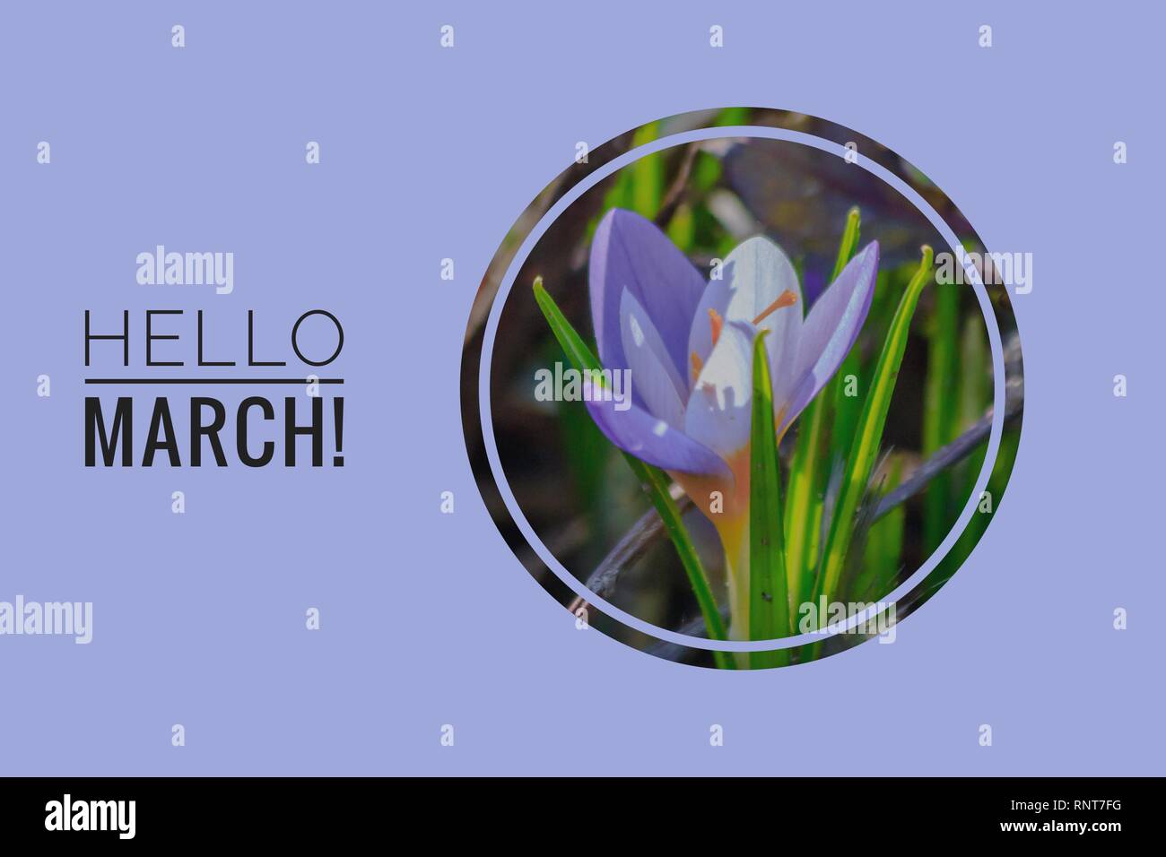 greeting card hello march Welcome card the beginning of spring ...