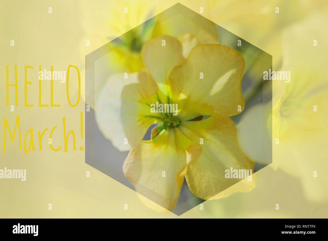 greeting card hello march Welcome card the beginning of spring ...