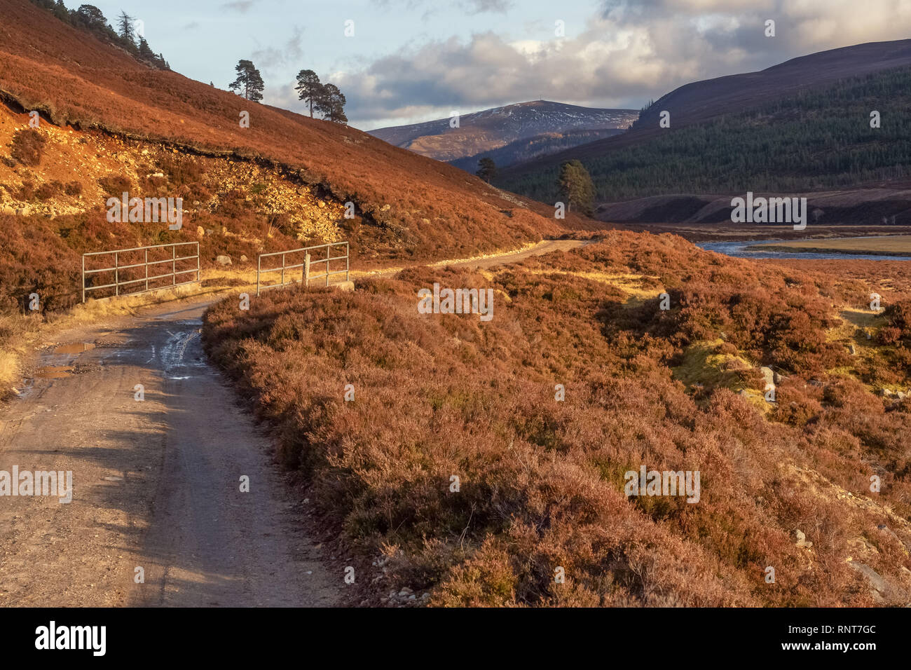 Mar Lodge Estate is a highland estate in western Aberdeenshire ...