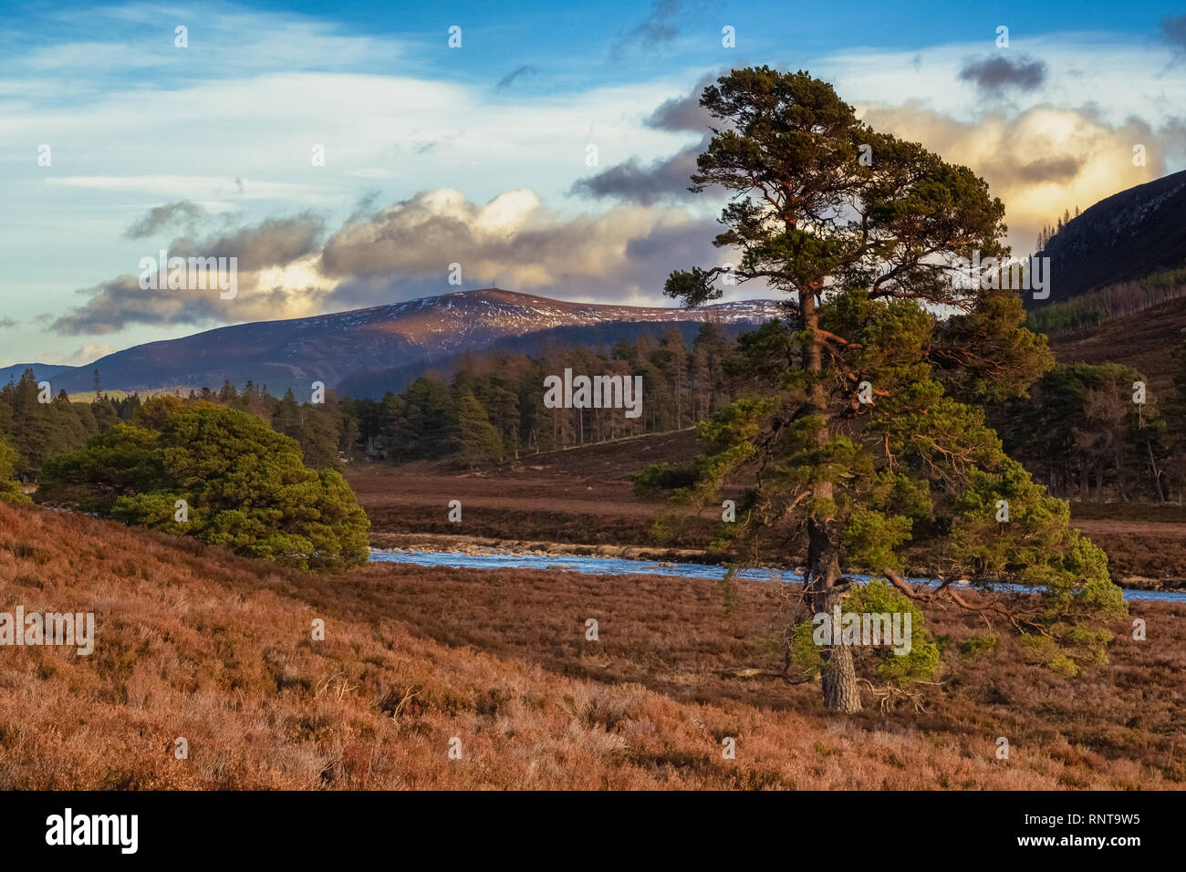 Mar Lodge Estate is a highland estate in western Aberdeenshire ...
