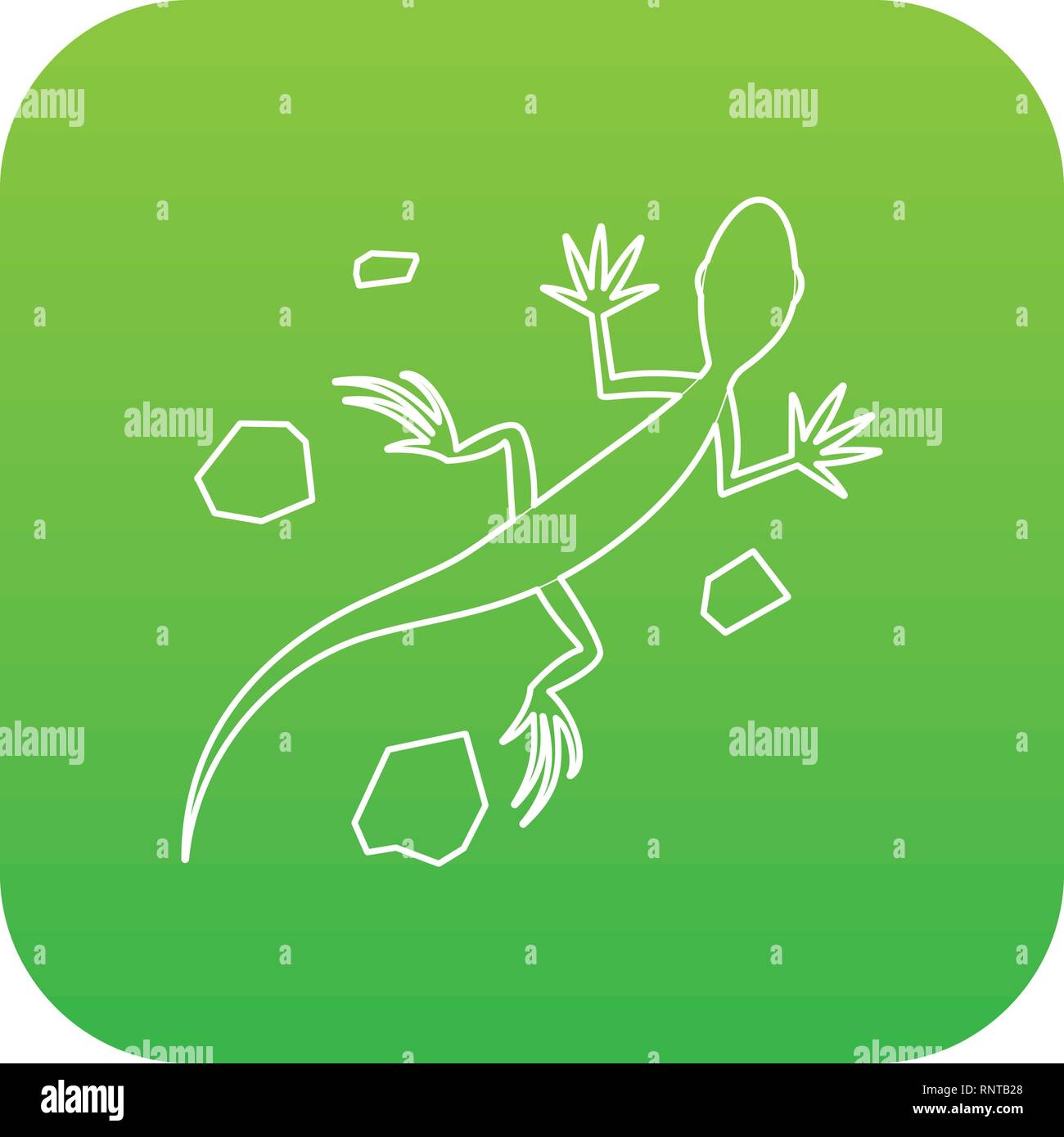 Salamander icon green vector Stock Vector Image & Art - Alamy