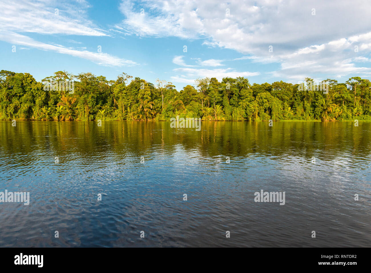 Tropical rainforest landscape by the Tortuguero river inside Tortuguero ...