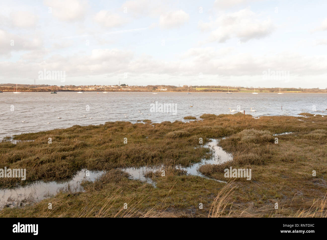 Manningtree water hi-res stock photography and images - Alamy