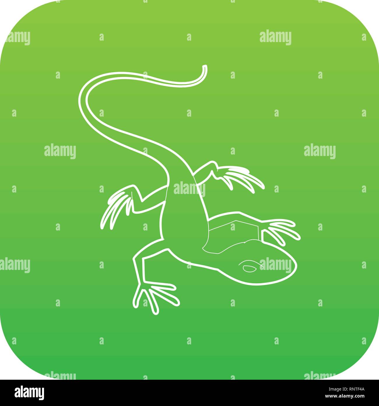 Little lizard icon green vector Stock Vector Image & Art - Alamy