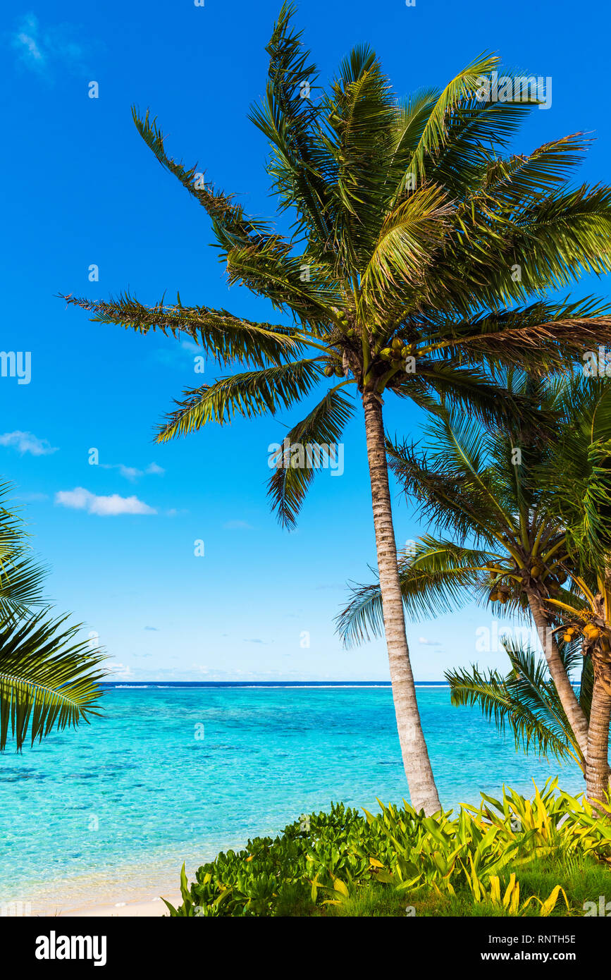 View of the sandy beach, Cook Islands, South Pacific. Copy space for ...