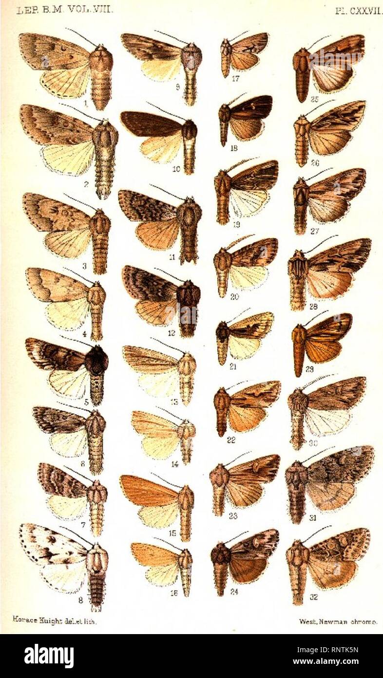 Catalogue bm plate hi-res stock photography and images - Alamy