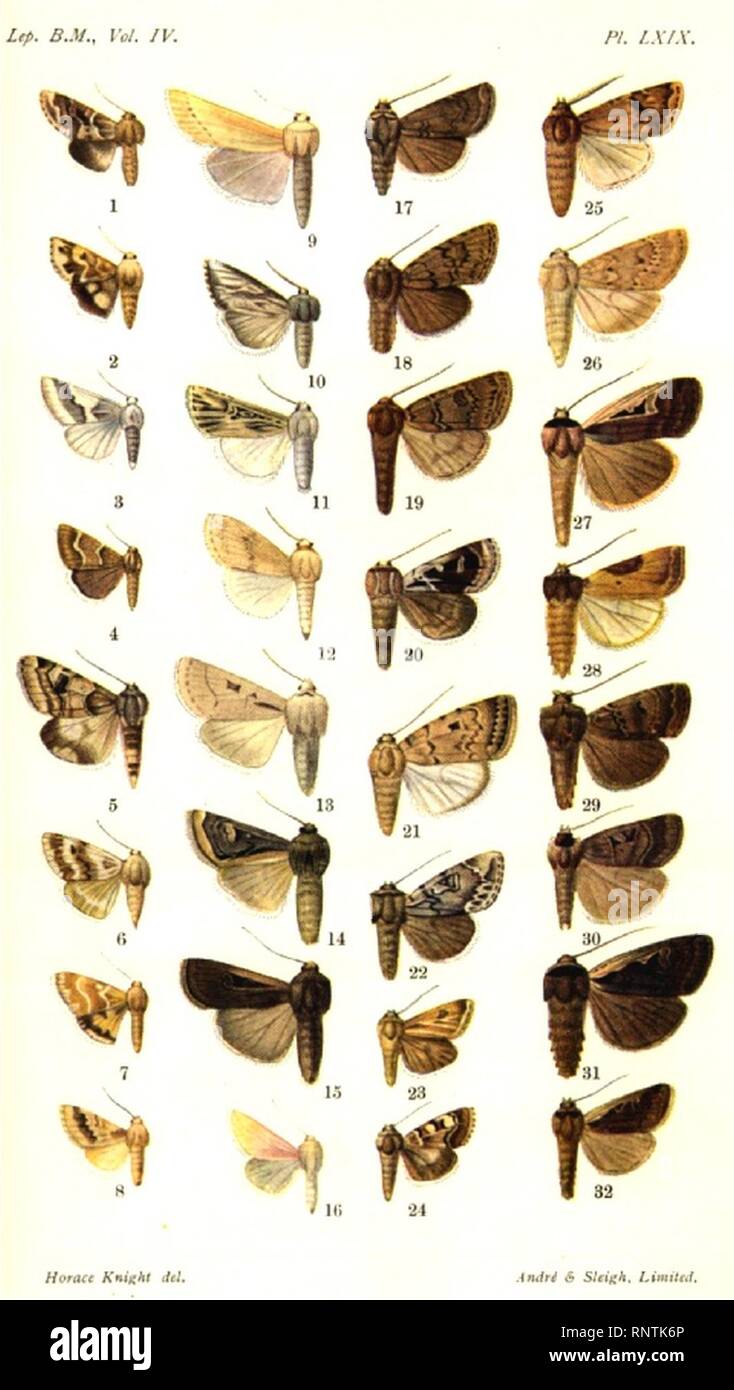 Lxix hi-res stock photography and images - Alamy