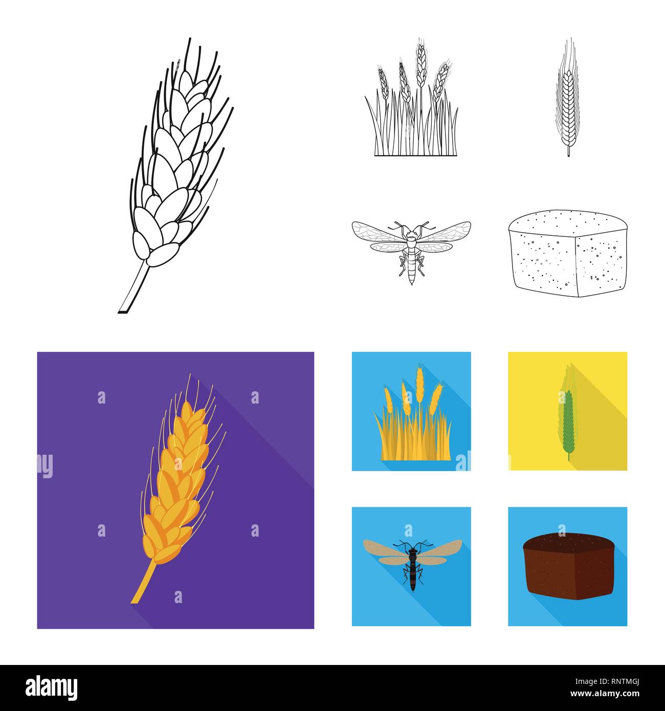 spring,fly,bread,spike,winter,insect,durum,barley,pest,brown,flour,land ...