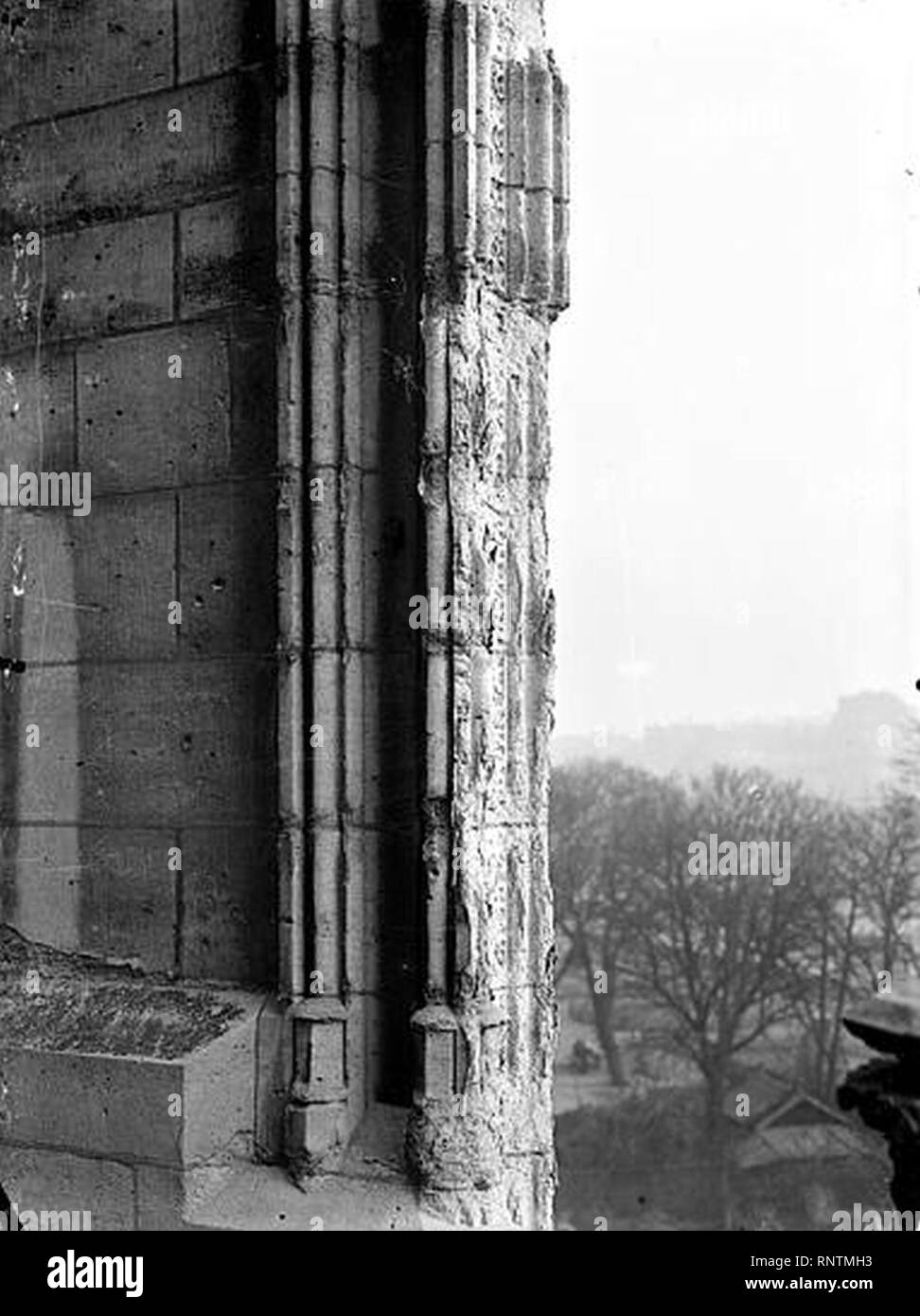 Cathédrale Notre-Dame - Pinacle de la façade sud Détail montrant l ...