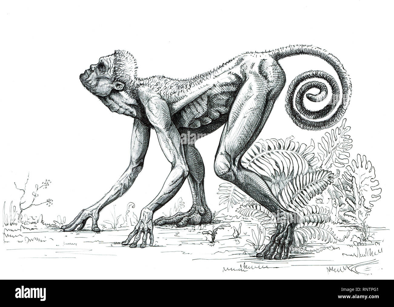 Drawings sculpture Cut Out Stock Images & Pictures - Alamy