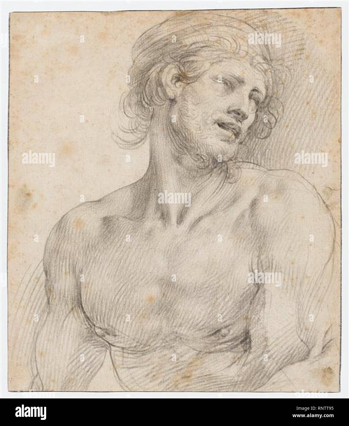 Cavalier d'Arpin 04-514849 Stock Photo - Alamy