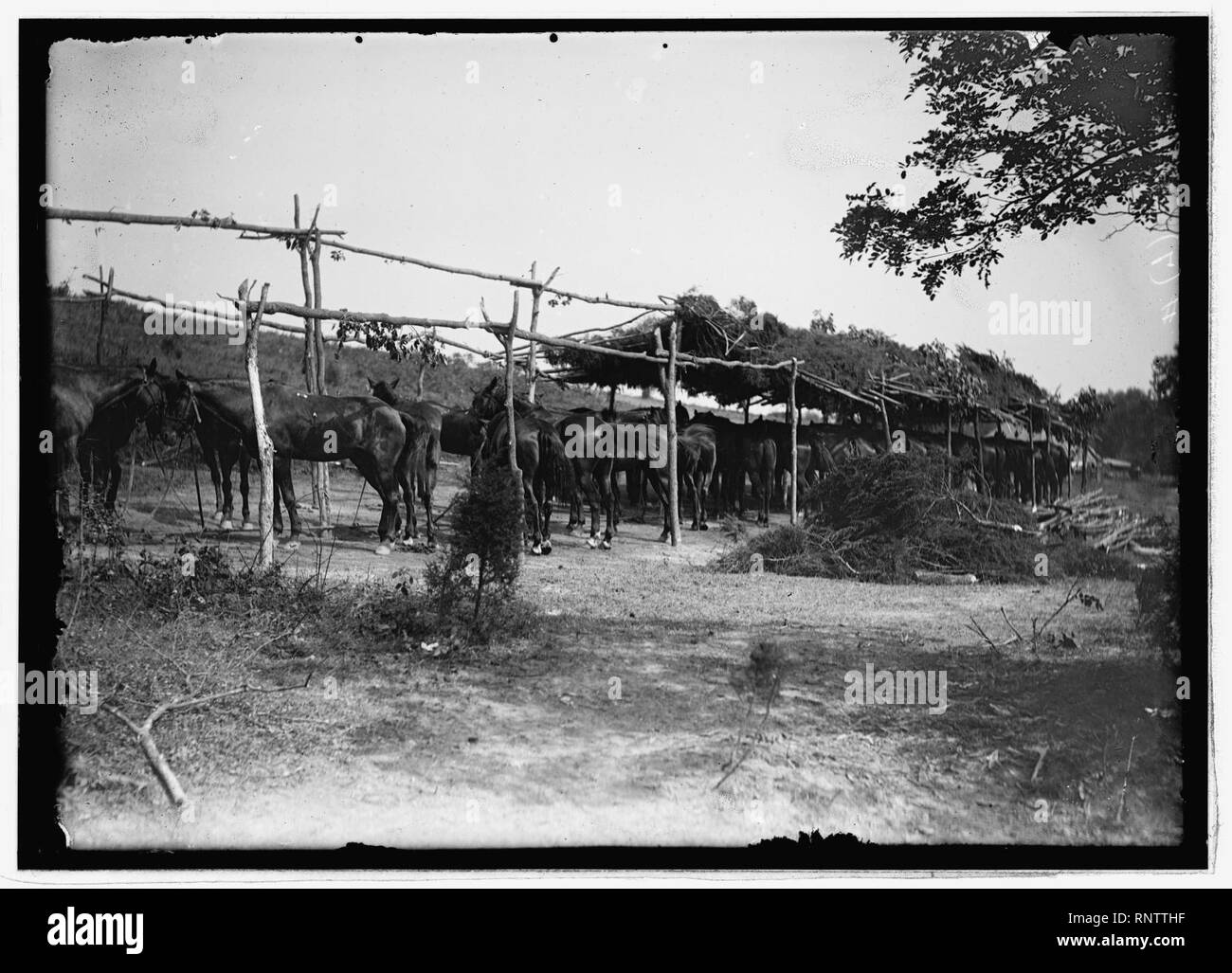 Historical cavalry collection Black and White Stock Photos & Images - Alamy