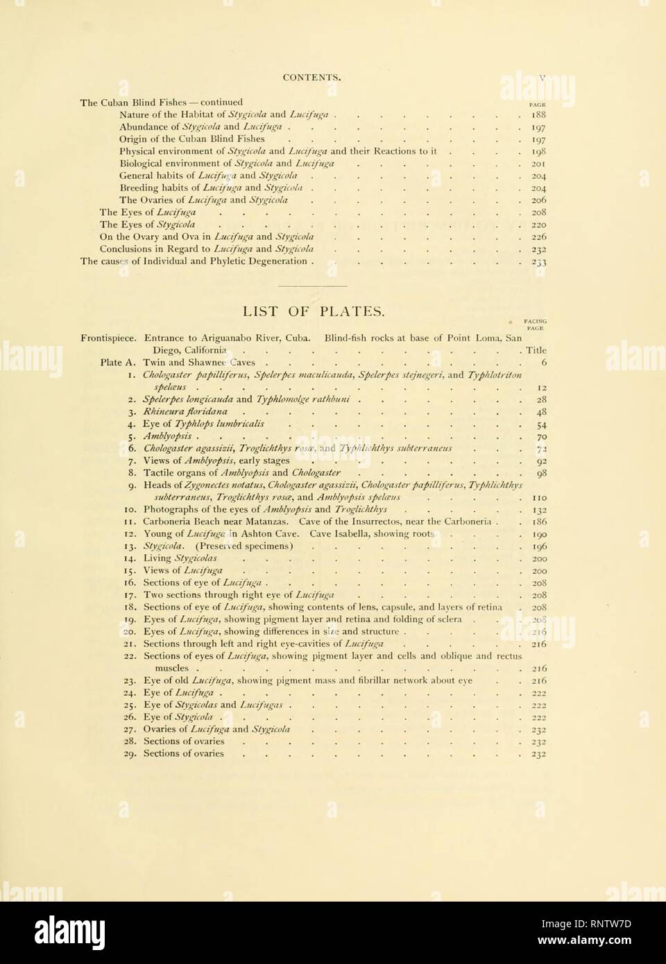 List of plates hi-res stock photography and images - Alamy