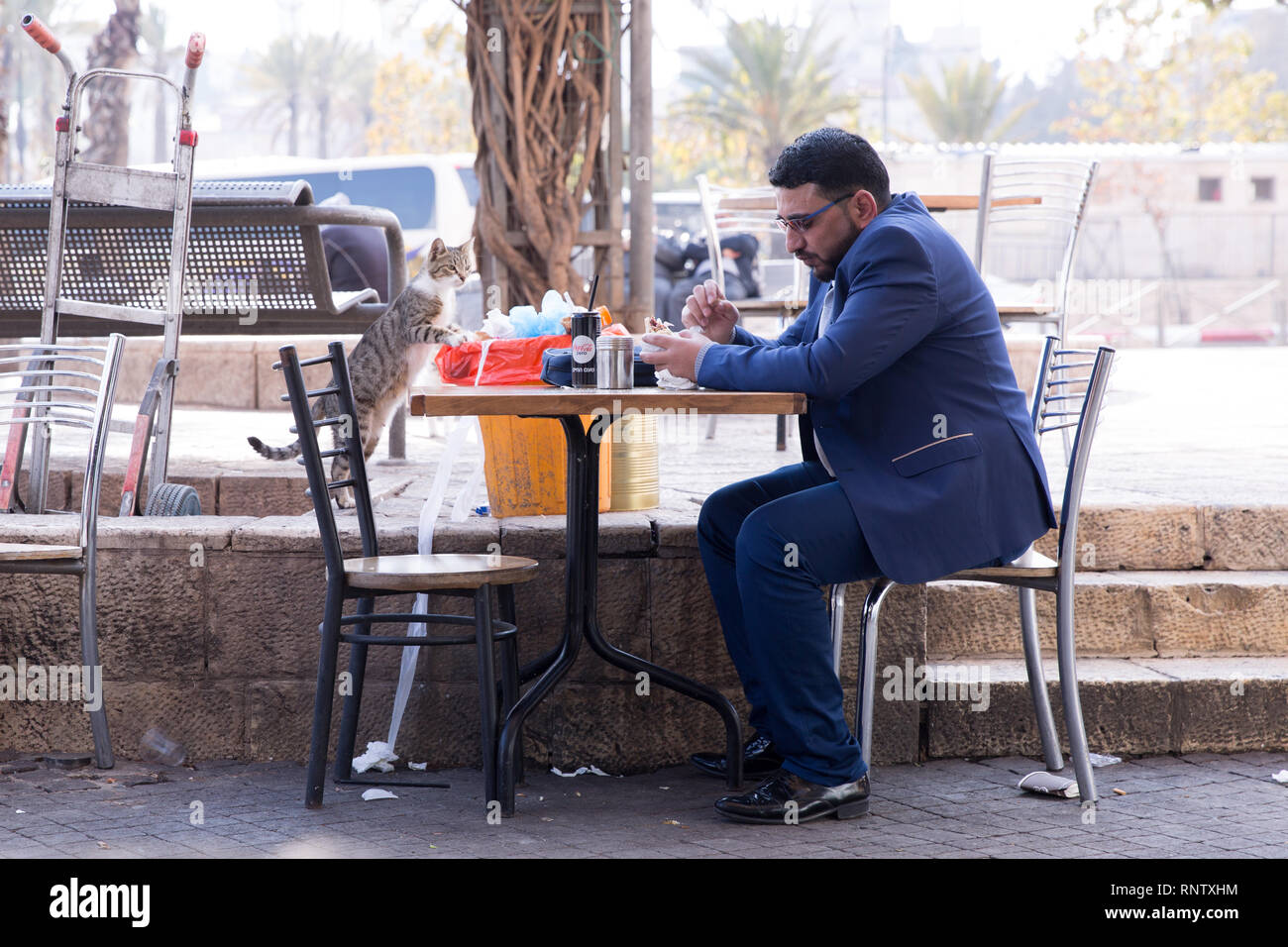 A man in a blue suit eating lunch in Jerusalem as a cat approaches his ...