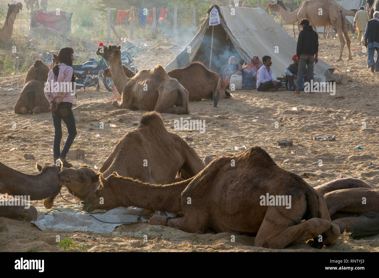 Raikas hi-res stock photography and images - Alamy