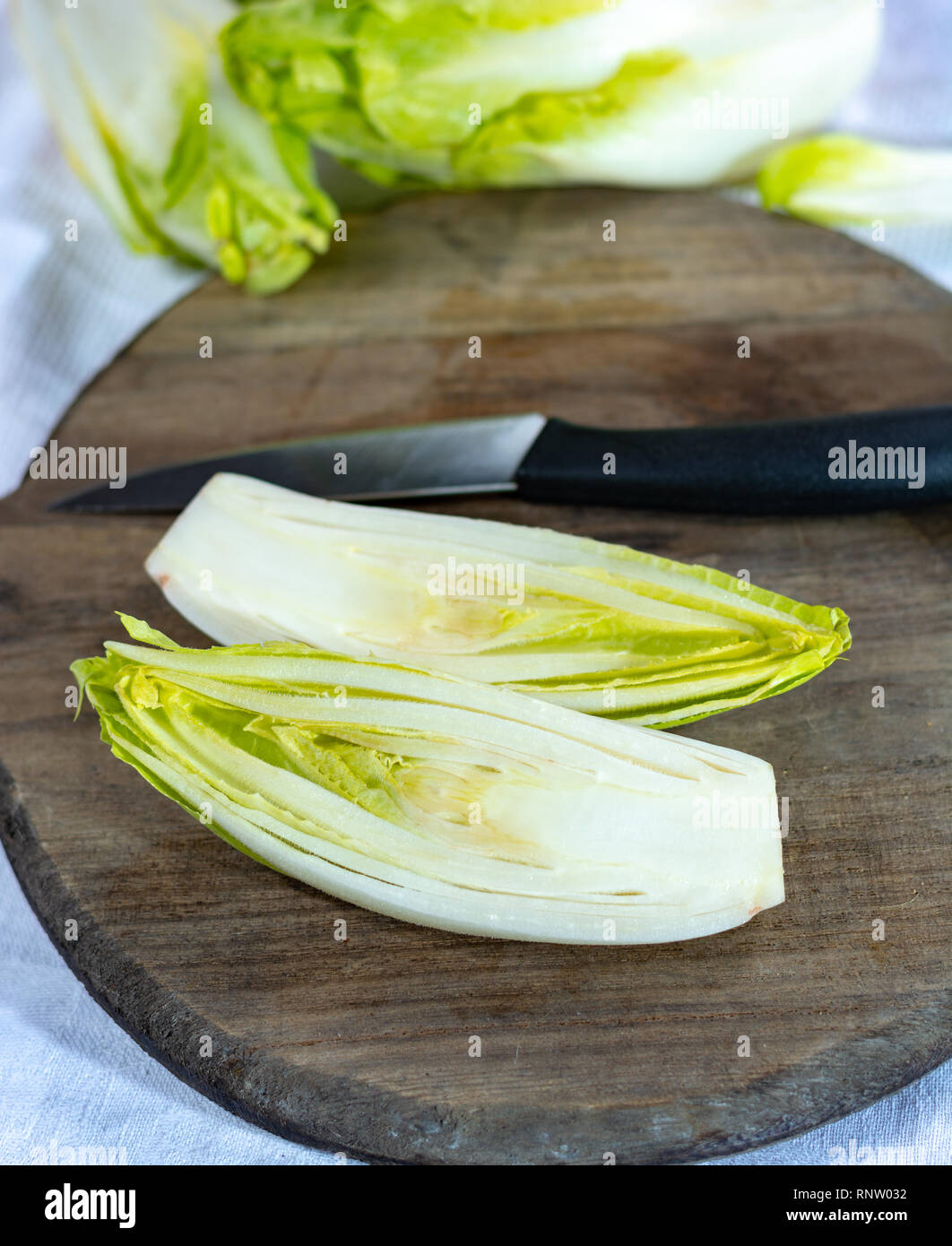 Group of fresh raw green Belgian endive or hicory vegetables, also ...