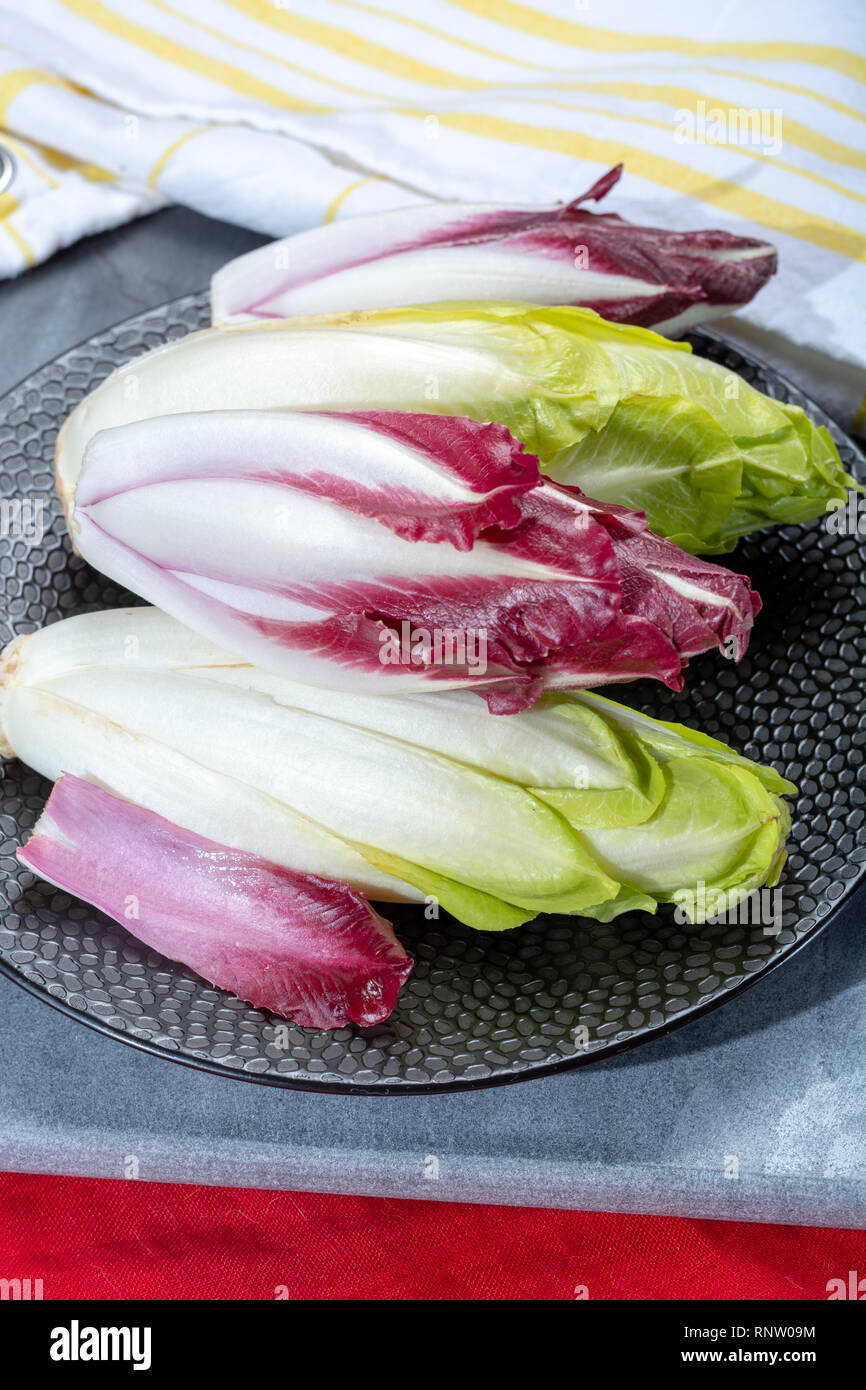 Group of fresh green Belgian endive or chicory and red Radicchio ...