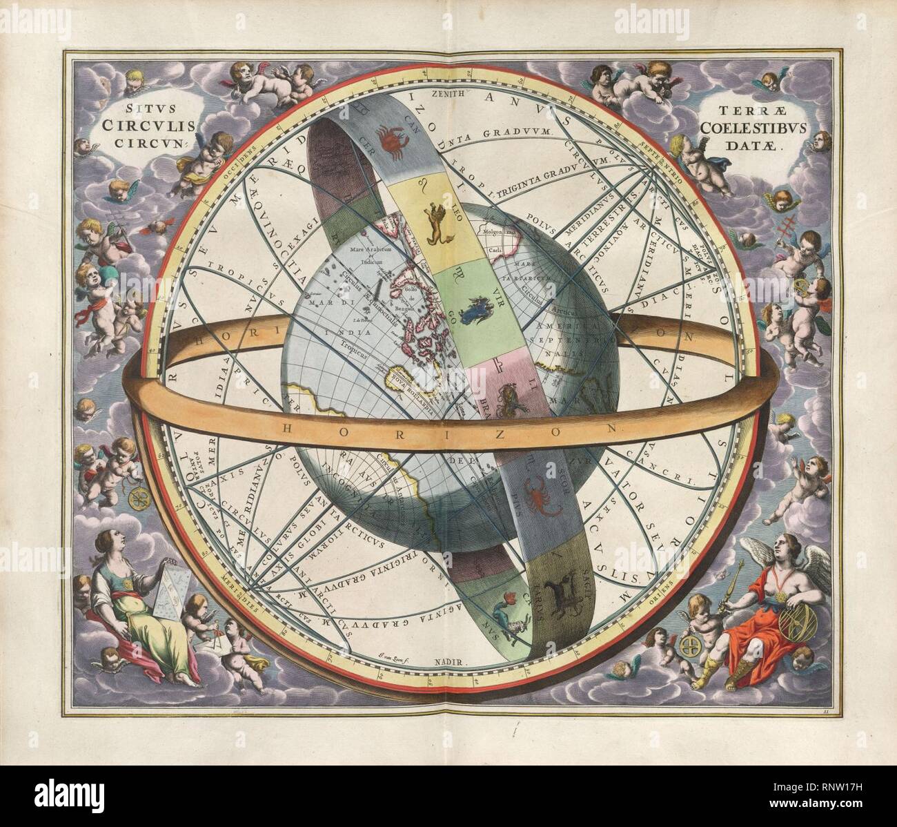 Circulis hi-res stock photography and images - Alamy