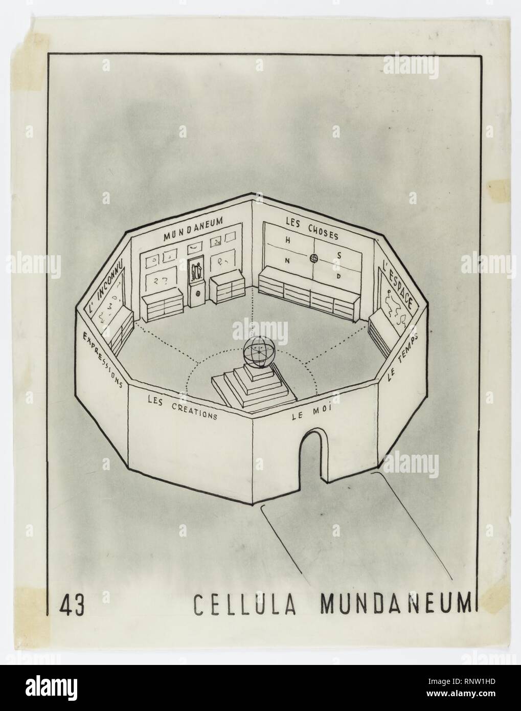 Cellula hi-res stock photography and images - Alamy