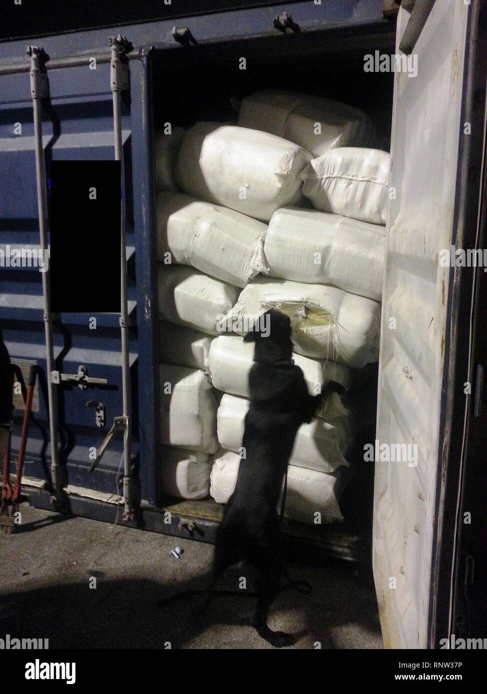 CBP Dog Narcotics Stock Photo - Alamy