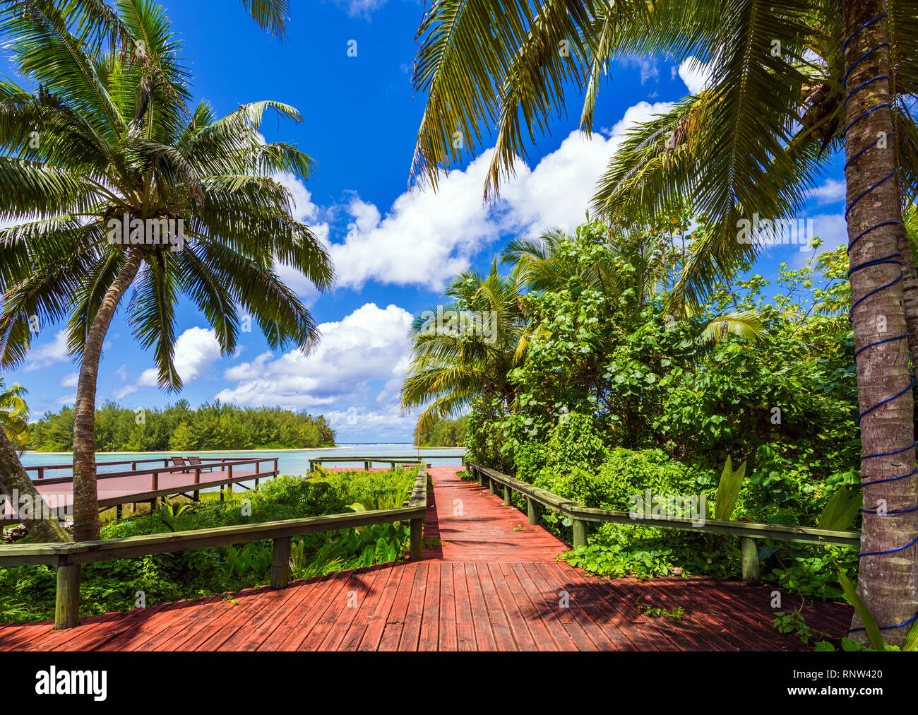 View of palm trees and seascape, Cook Islands, South Pacific Stock ...