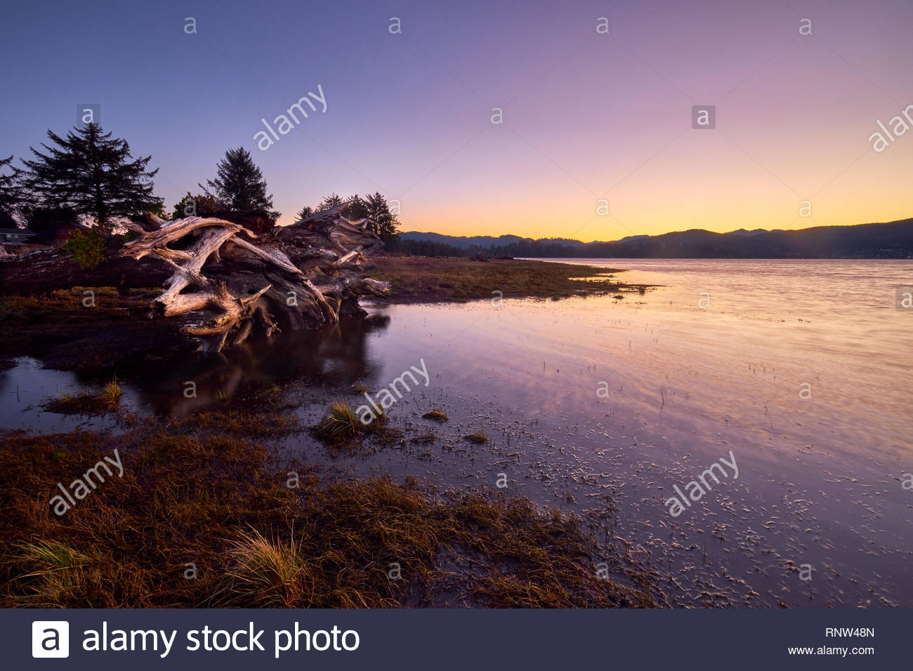 Nehalem Oregon Stock Photos & Nehalem Oregon Stock Images - Alamy