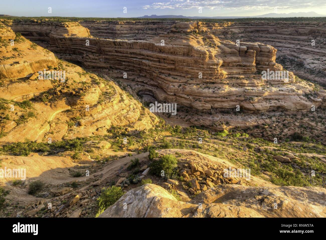 Cedar-mesa-citadel-ruins Side view Stock Photo - Alamy