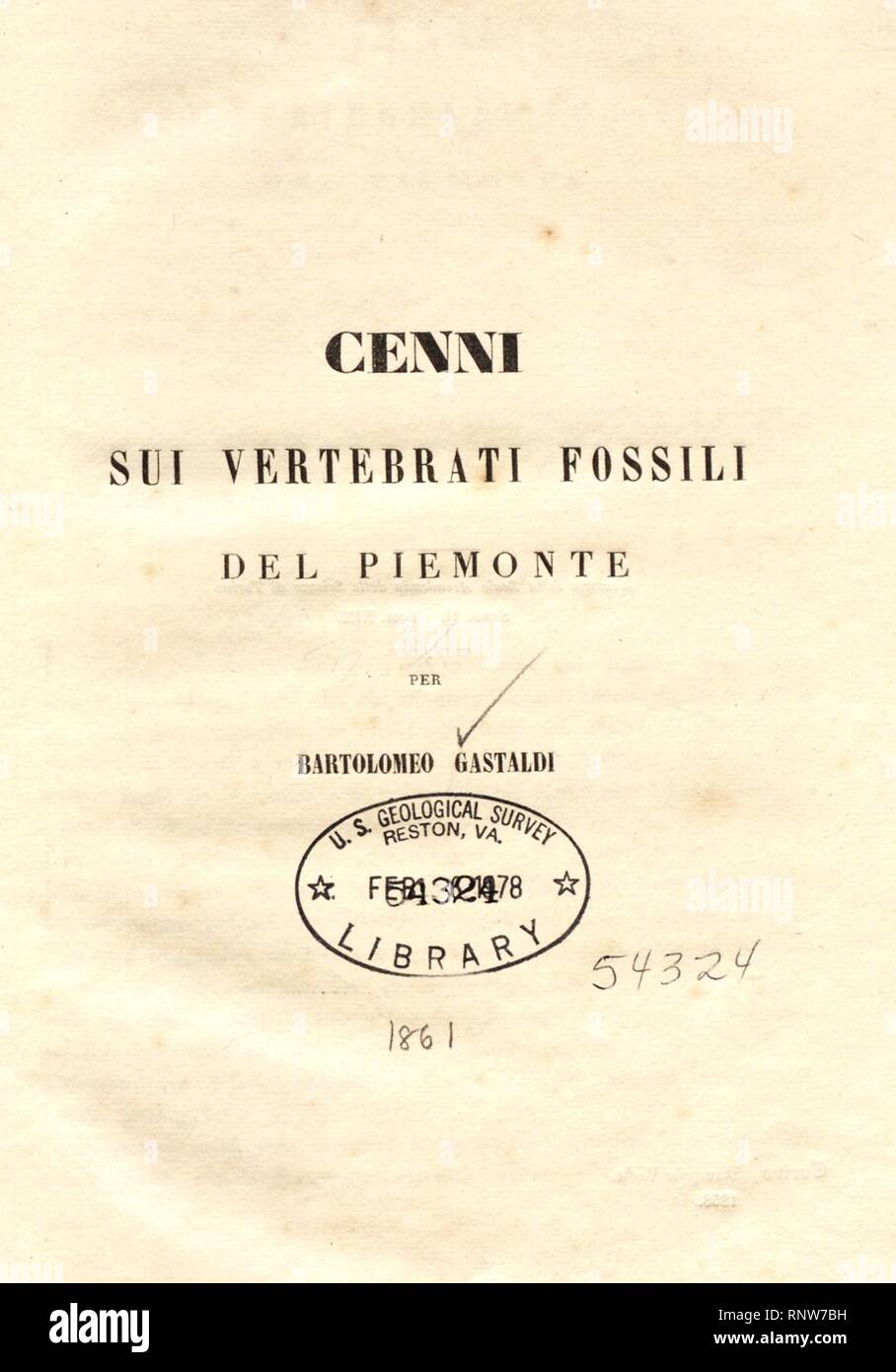 Vertebrati vertebrati hi-res stock photography and images - Alamy