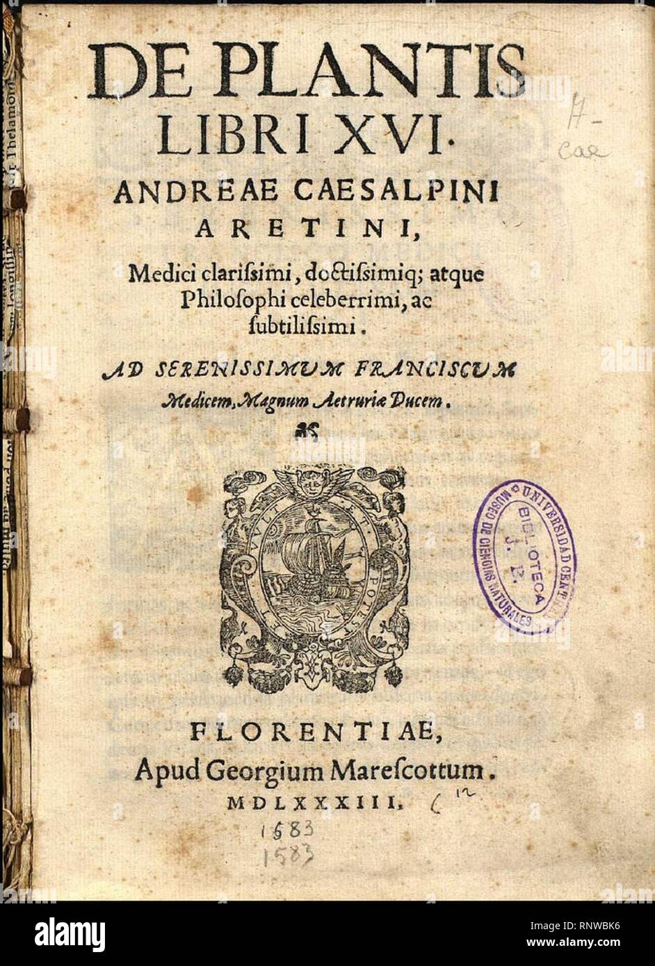 De plantis hi-res stock photography and images - Alamy