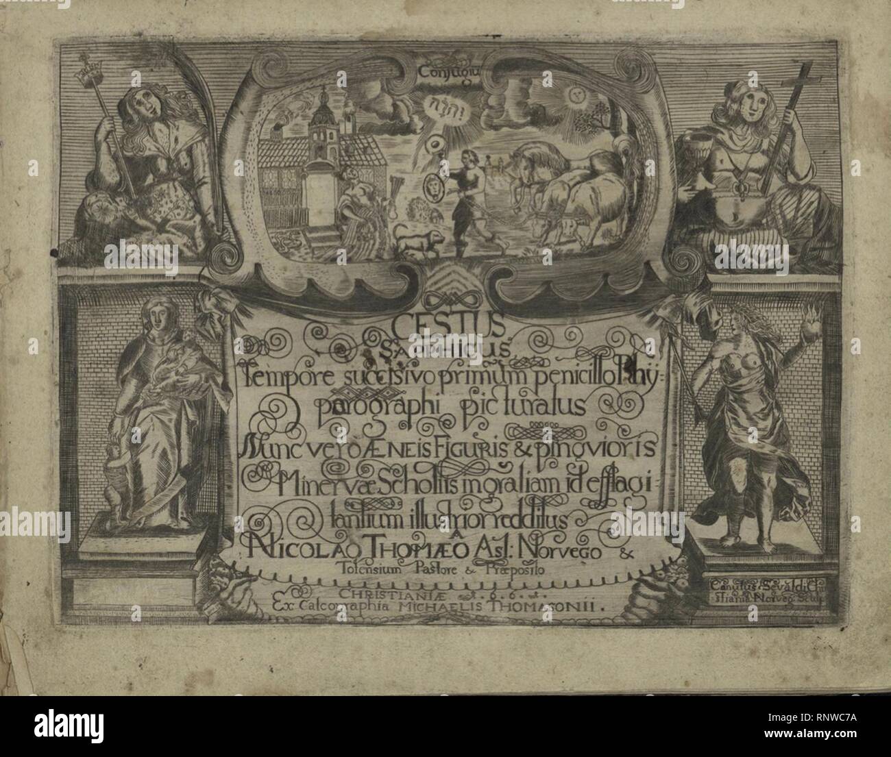 Cestus hi-res stock photography and images - Alamy