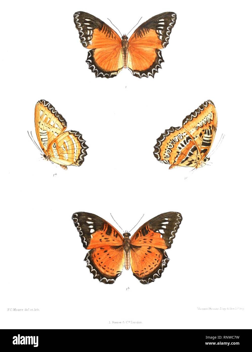 1 v Cut Out Stock Images & Pictures - Alamy